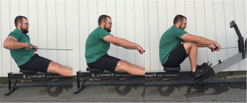 The Research on Low Back Pain and Rib Stress Injuries in Rowing ...